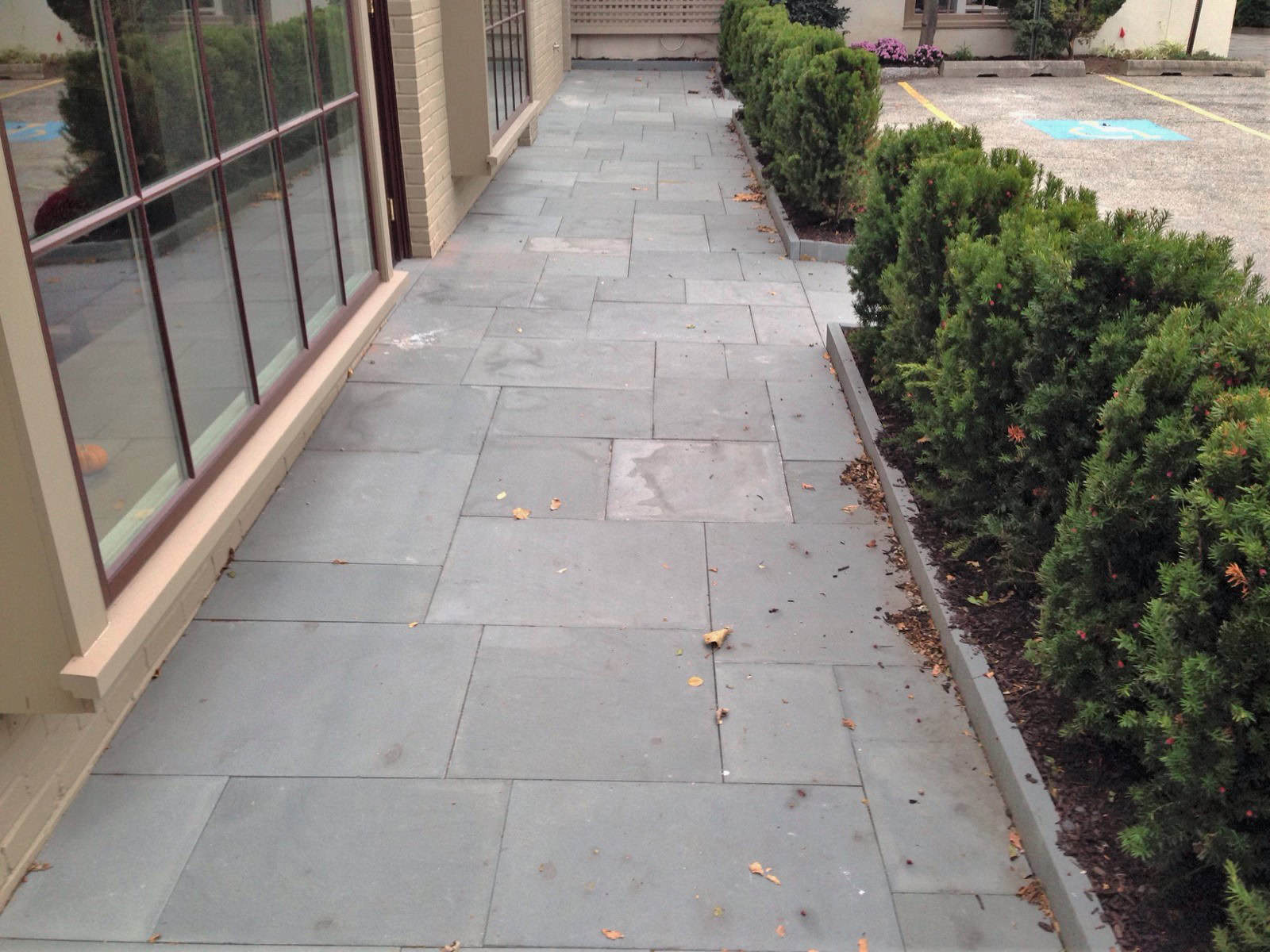 Thermal Bluestone | Blue & Variegated | Robinson Flagstone | PA